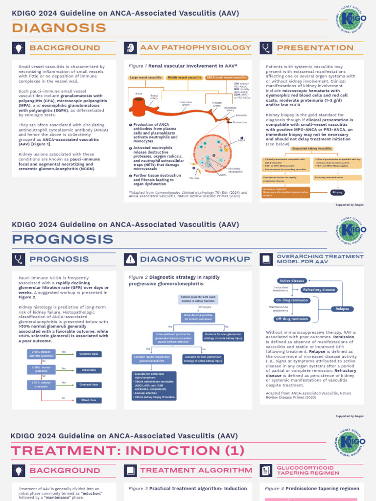 KDIGO 2024 AAV Diagnosis and Treatment Guide | PDF | Immunology | Medicine