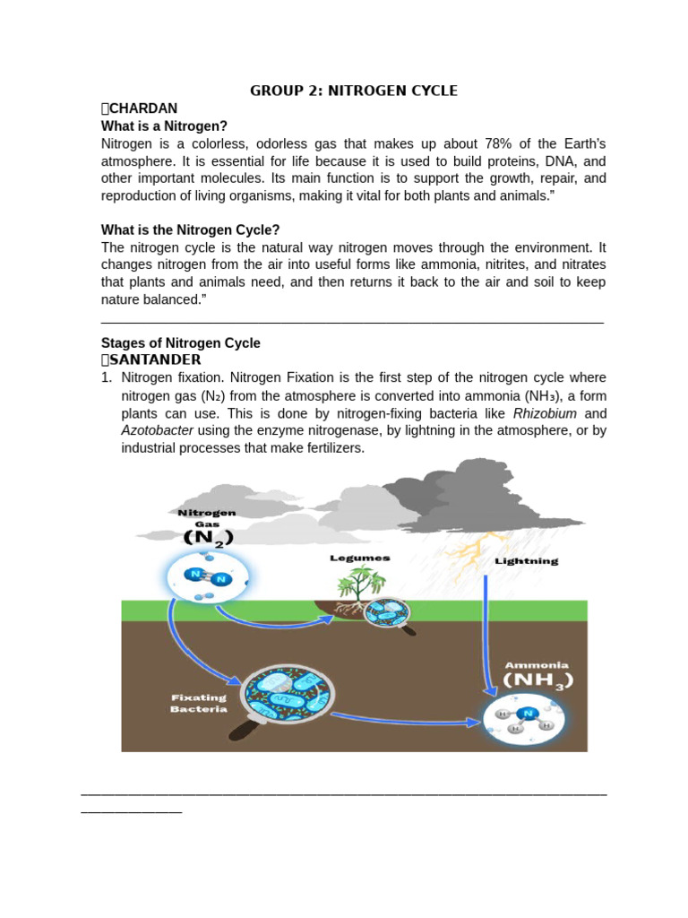 Nitrogen Cycle Pdf Nitrogen Nitrate