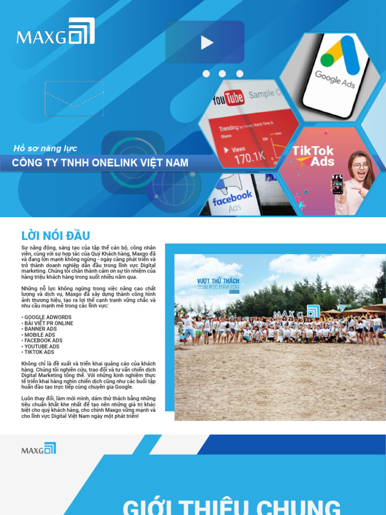 Onelink Vietnam Profile | PDF