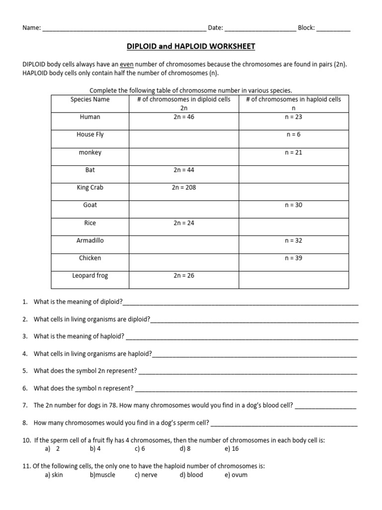 Diploid & Haploid Worksheet (1) | PDF | Ploidy | Karyotype