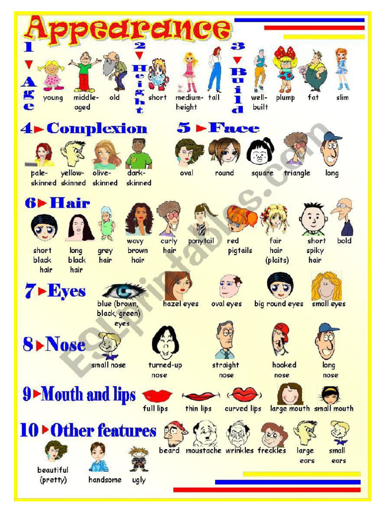Body Appearance | PDF