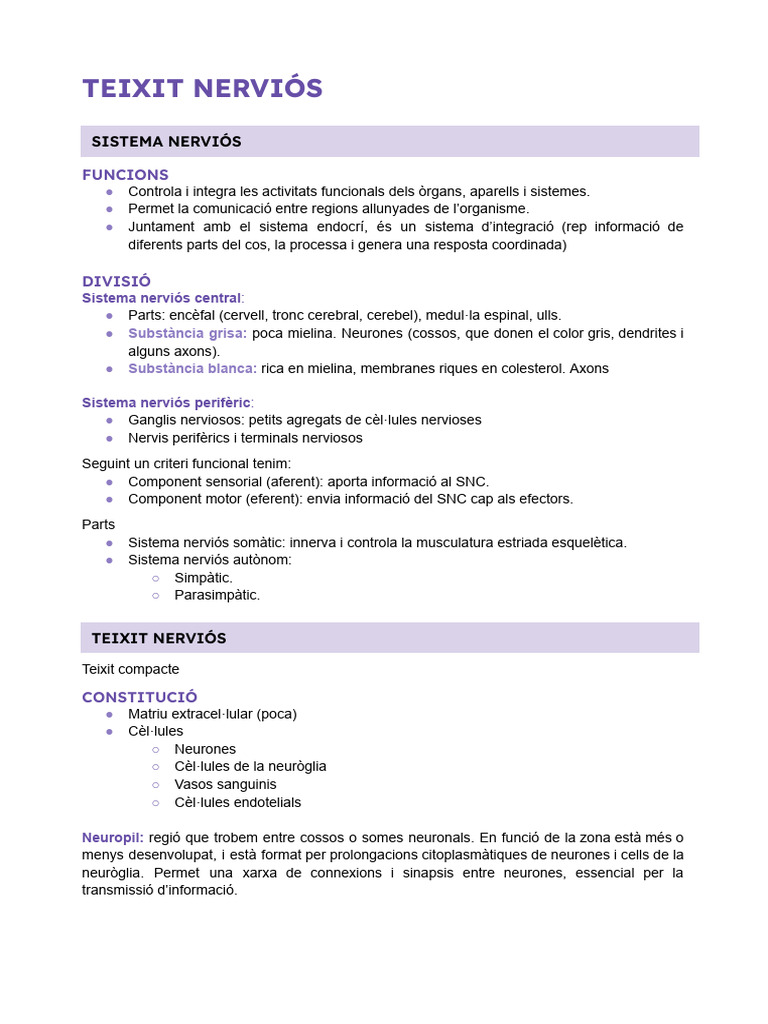 Teixit Nerviós | PDF