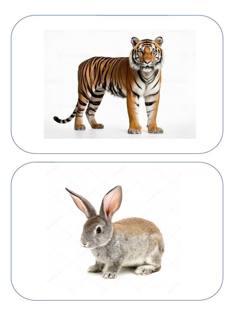 Flashcard - Story - Just Wiggle | PDF
