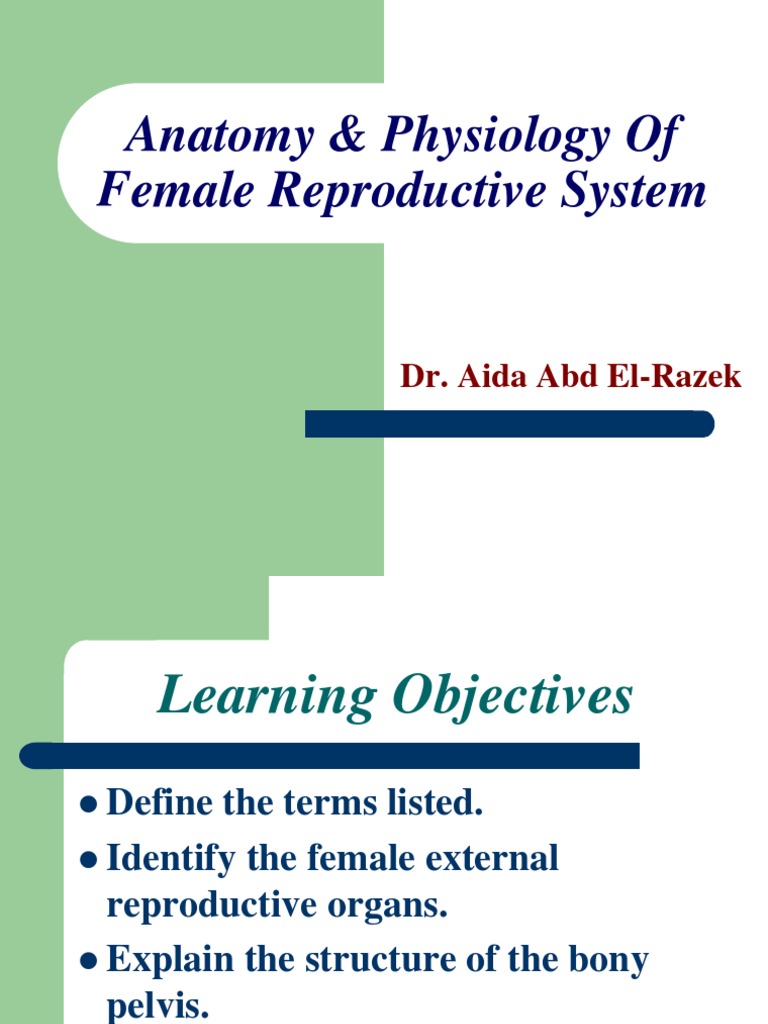 Anatomy Physiology of Female Reproductive System | PDF | Pelvis ...