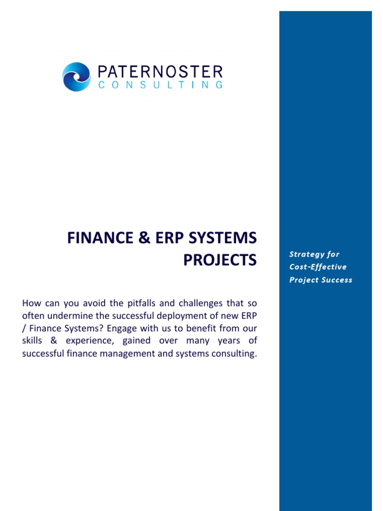 ERP Finance System Project Success Guide | PDF | Consultant ...