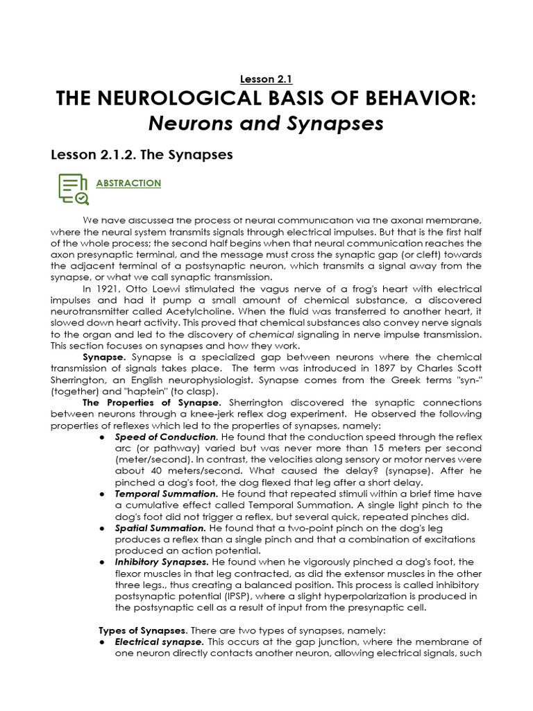 LESSON 2.1.2 - The Neurological Basis of Behavior - The Synapse | PDF ...