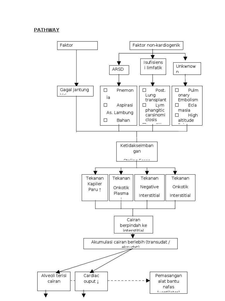 Pathway2 Edema Paru | PDF
