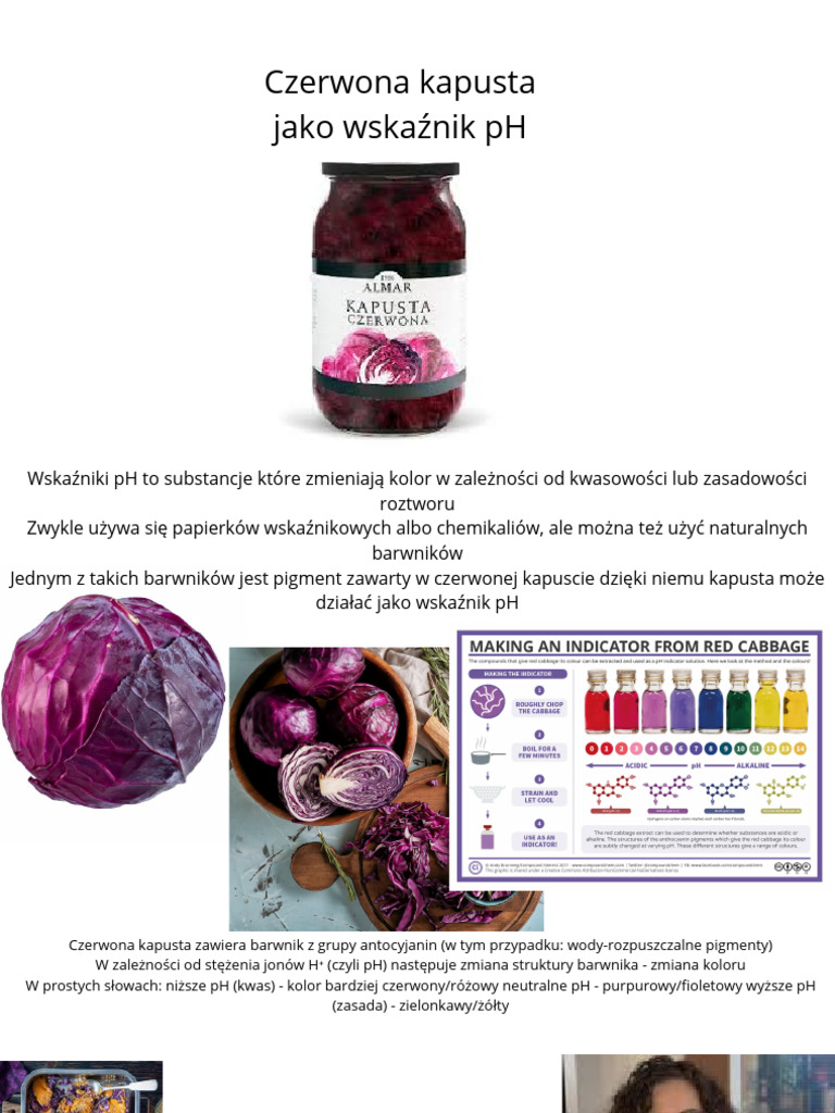 Czerwona Kapusta Jako Wskaźnik PH | PDF