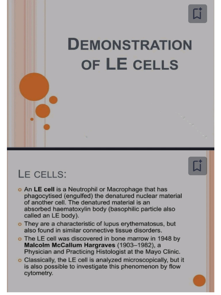 LE Cells | PDF