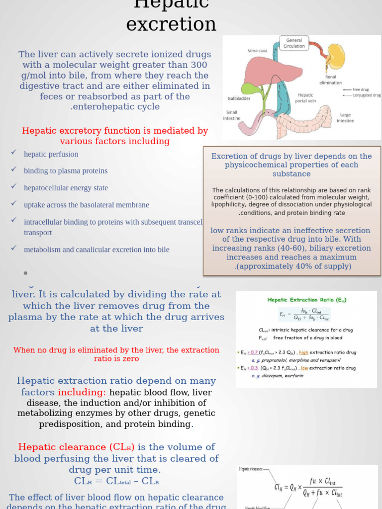 Hepatic Excretion | PDF | Liver | Biology