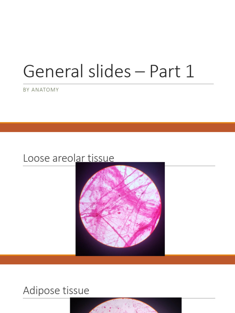 Part 1 Pracs - Histology General Slides | PDF