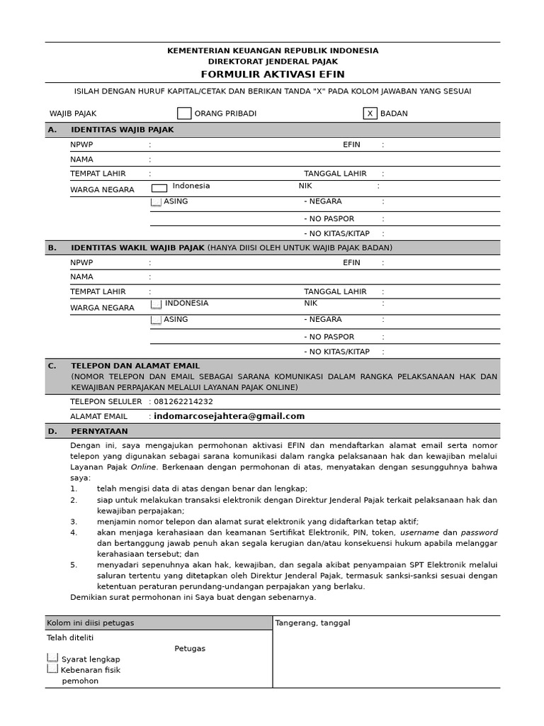 Formulir Aktivasi EFIN Pajak Indonesia | PDF