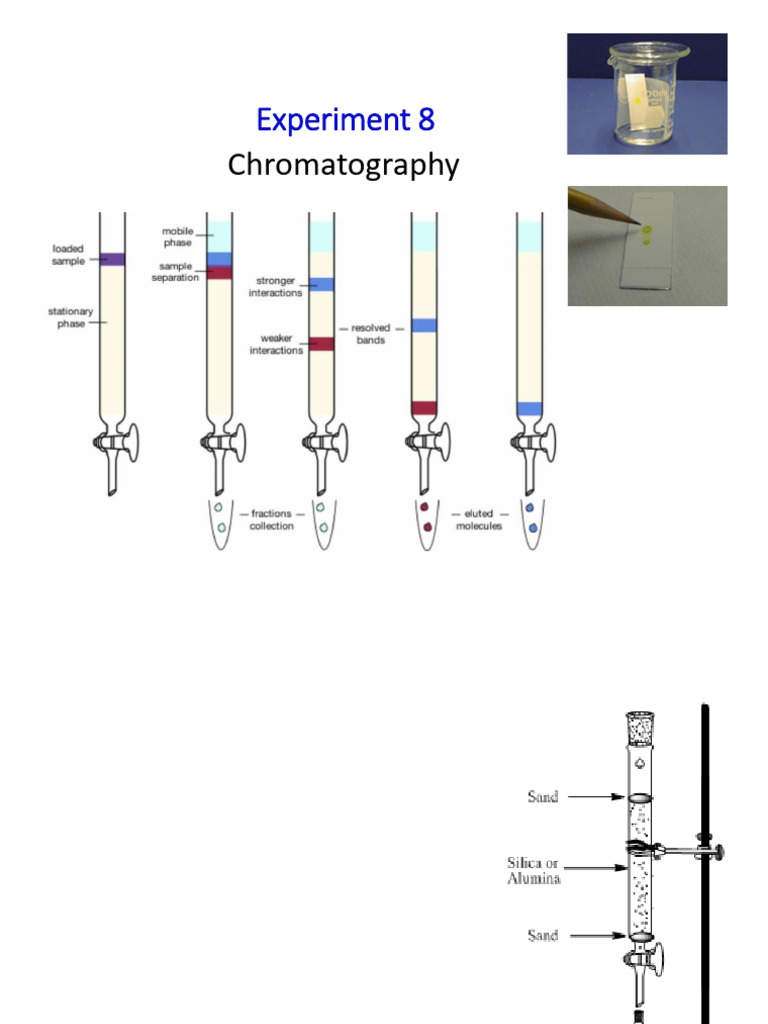 CHEM 201L Chromatography | PDF | Thin Layer Chromatography | Chromatography