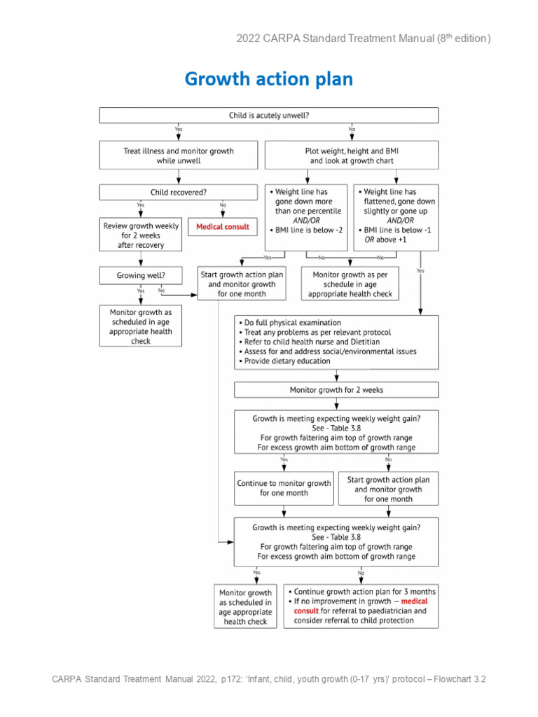 Growth Action Plan - Flowchart 3.2 (STM) | PDF