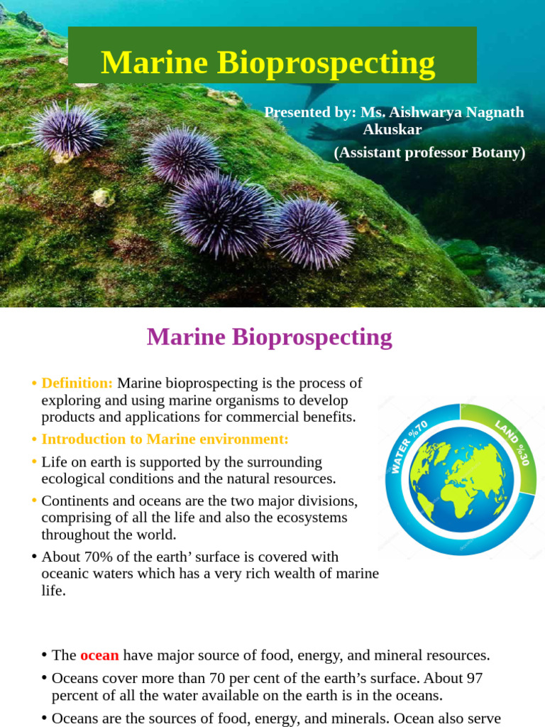 Marine Bioprospecting: Exploring Ocean Resources | PDF | Oceans | Seaweed