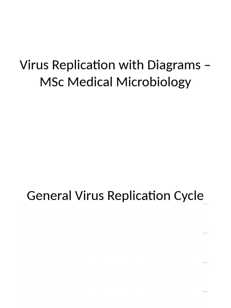 Virus Replication Diagrams | PDF