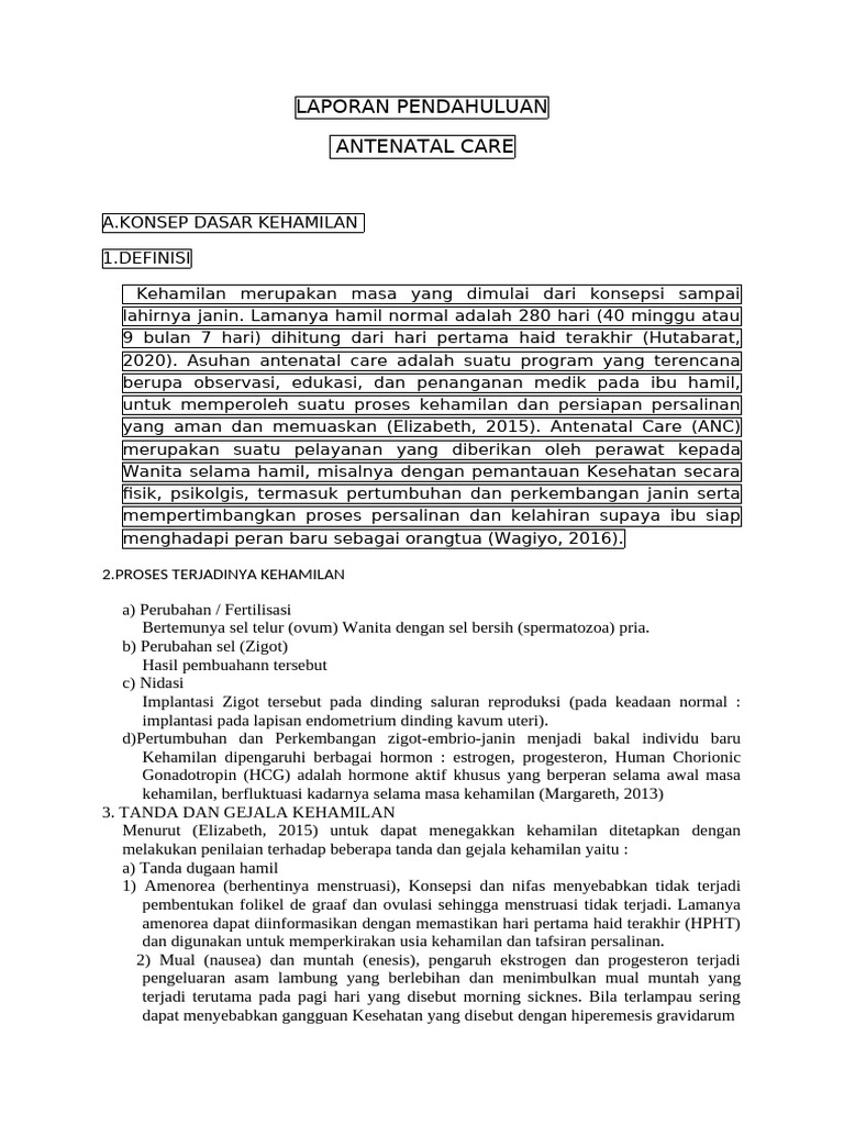 Lp Anc Kehamilan Normal | PDF