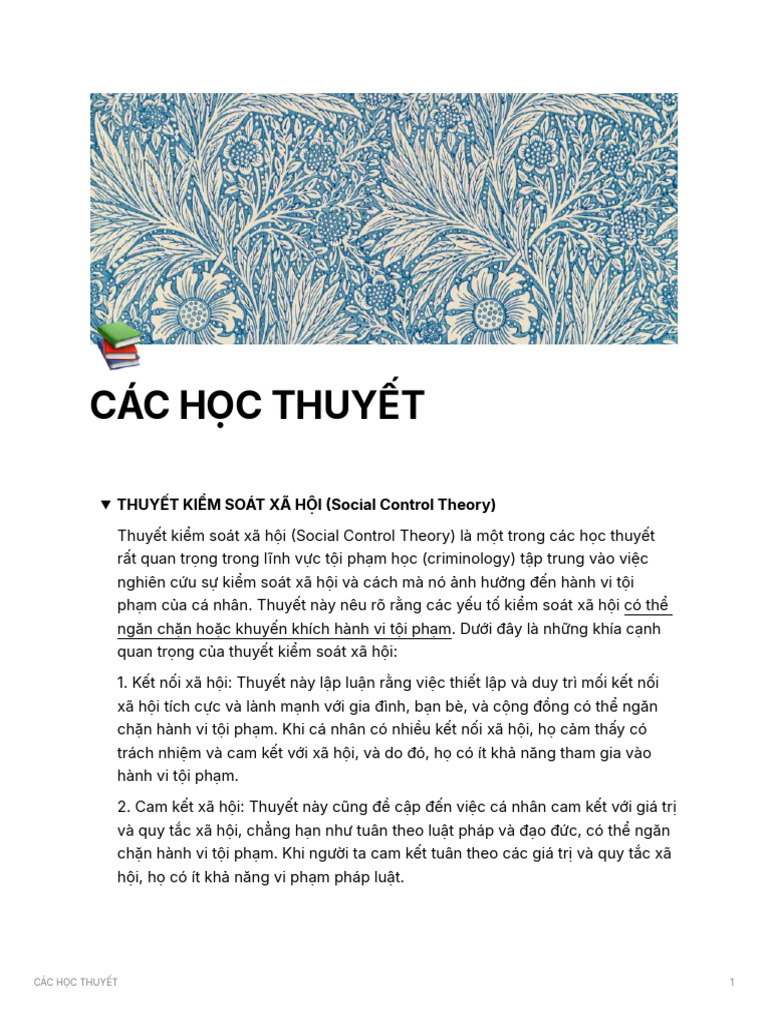 Tong Hop Cac Hoc Thuyet Toi Pham | PDF