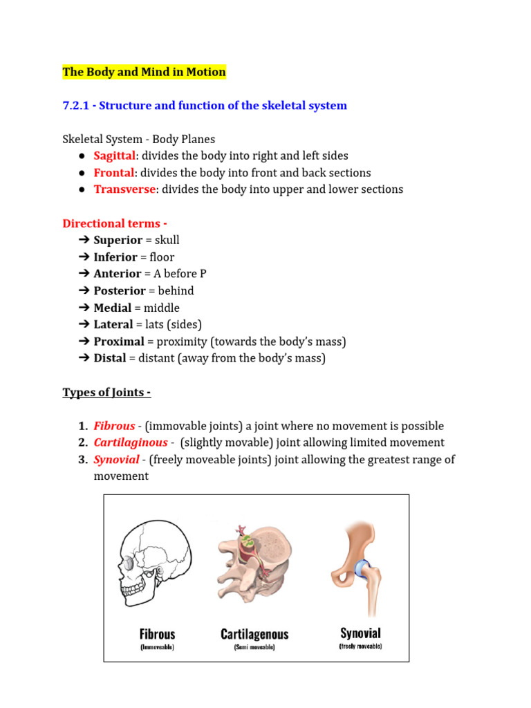 HMS - Preliminary Notes Focus Area 2 | PDF | Respiratory System | Blood