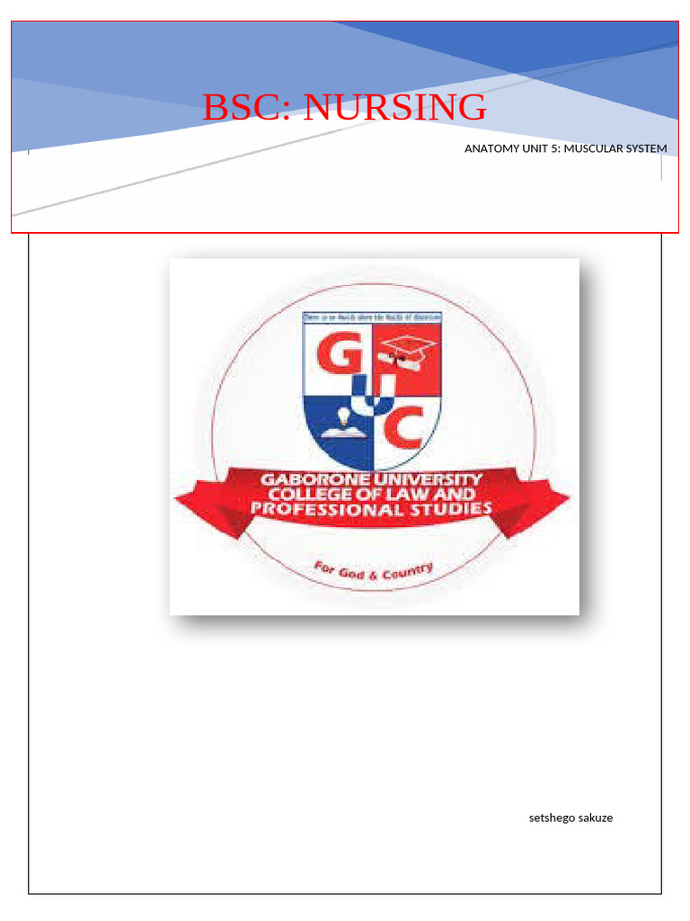 Anatomy Muscular System Multiple Choice | PDF | Human Leg | Skeletal Muscle