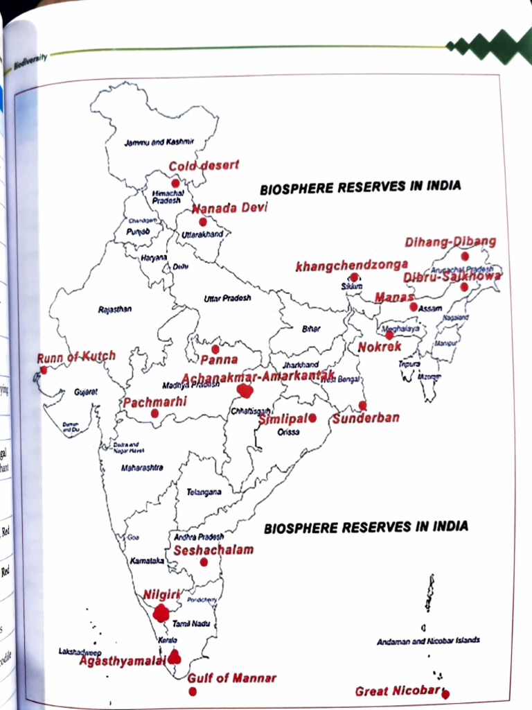 Environment Handbook UPSC Easy Coverage Notes | PDF