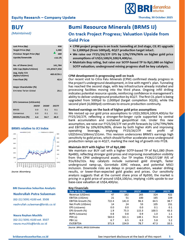 BRMS | PDF | Valuation (Finance) | Leverage (Finance)