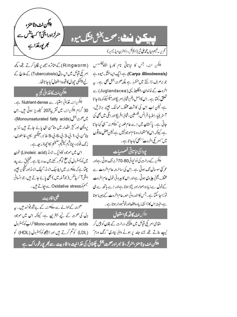 24-25-Pecan Nut (Hk Shair Ali) Final 1 | PDF