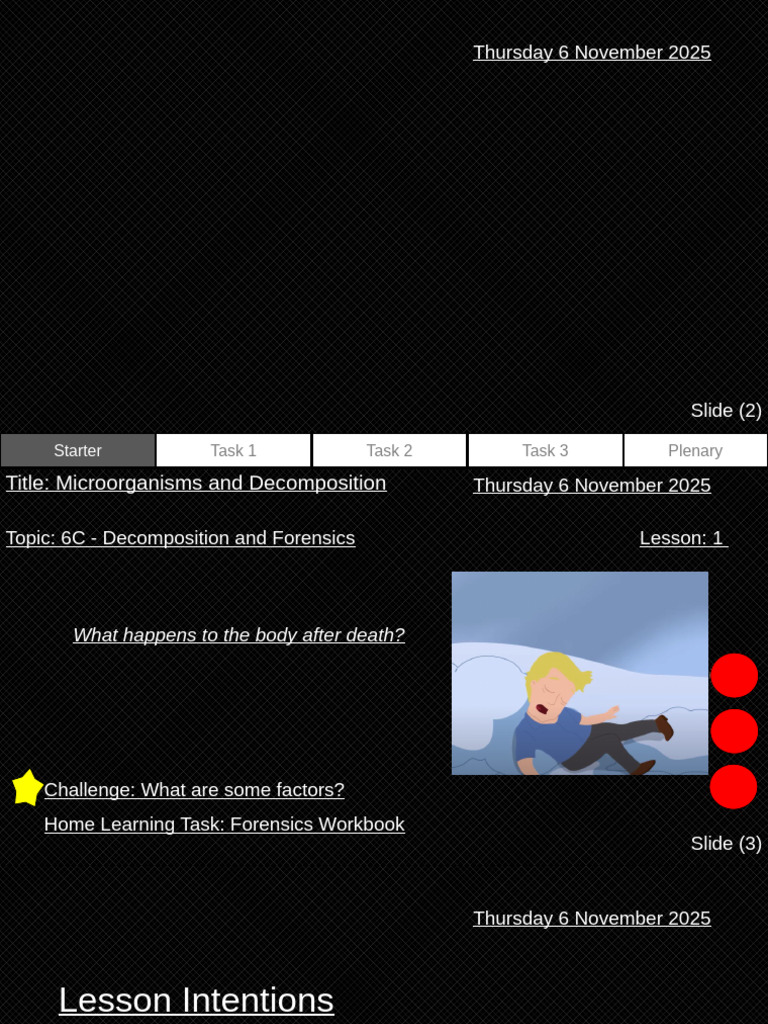 L1 Decomposition | PDF | Decomposition | Skeletal Muscle