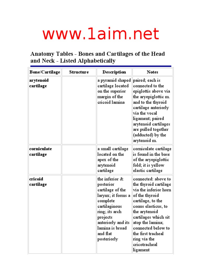 Bones and Cartilages of The Head and Neck | PDF | Primate Anatomy ...