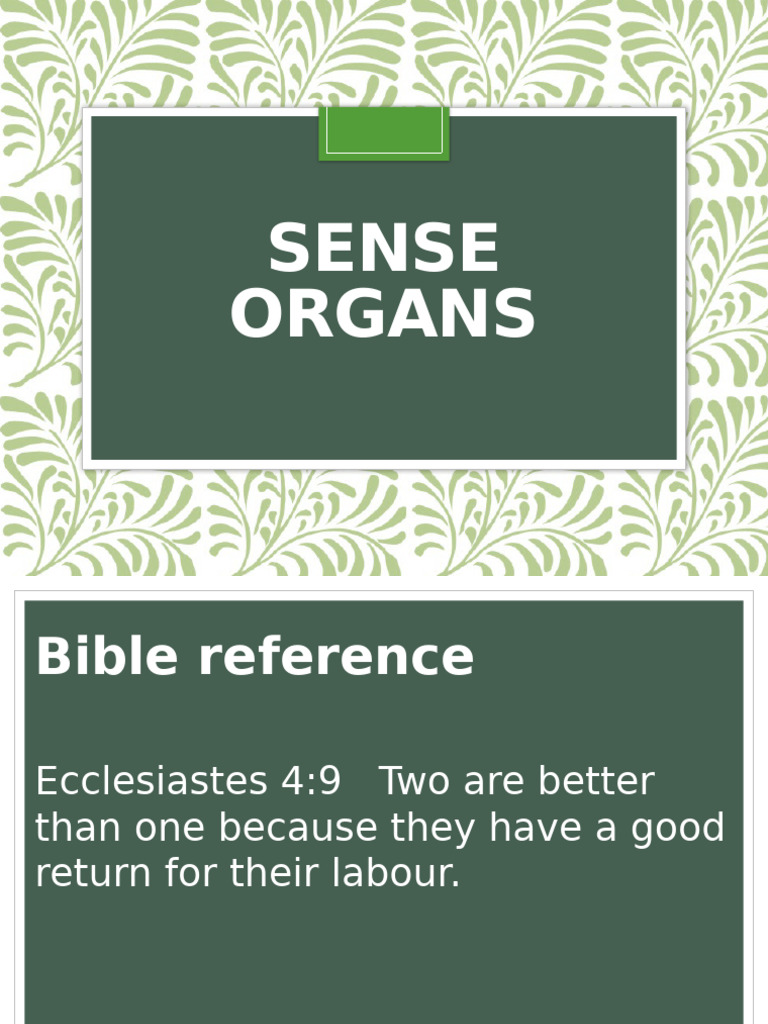 Understanding Human Sense Organs | PDF | Senses | Taste