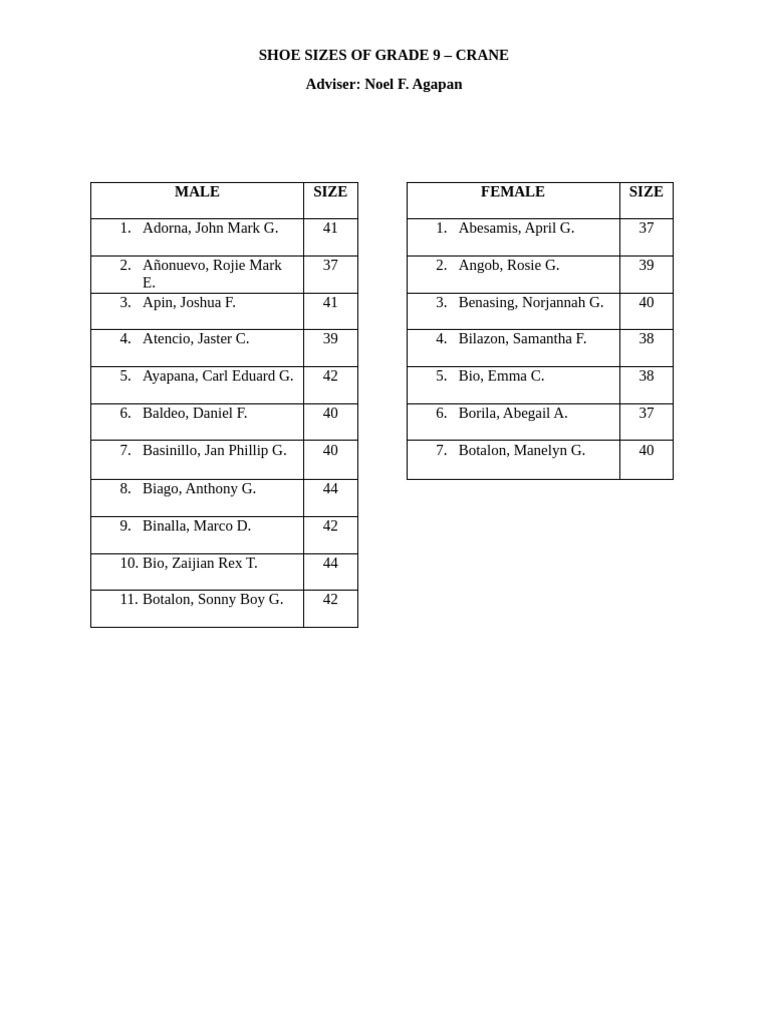Shoe Sizes | PDF