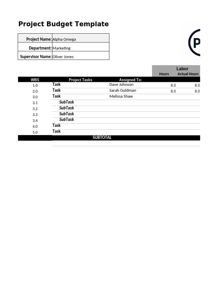 e_Budget_Template_ProjectManager_WLNK | PDF | Project Management