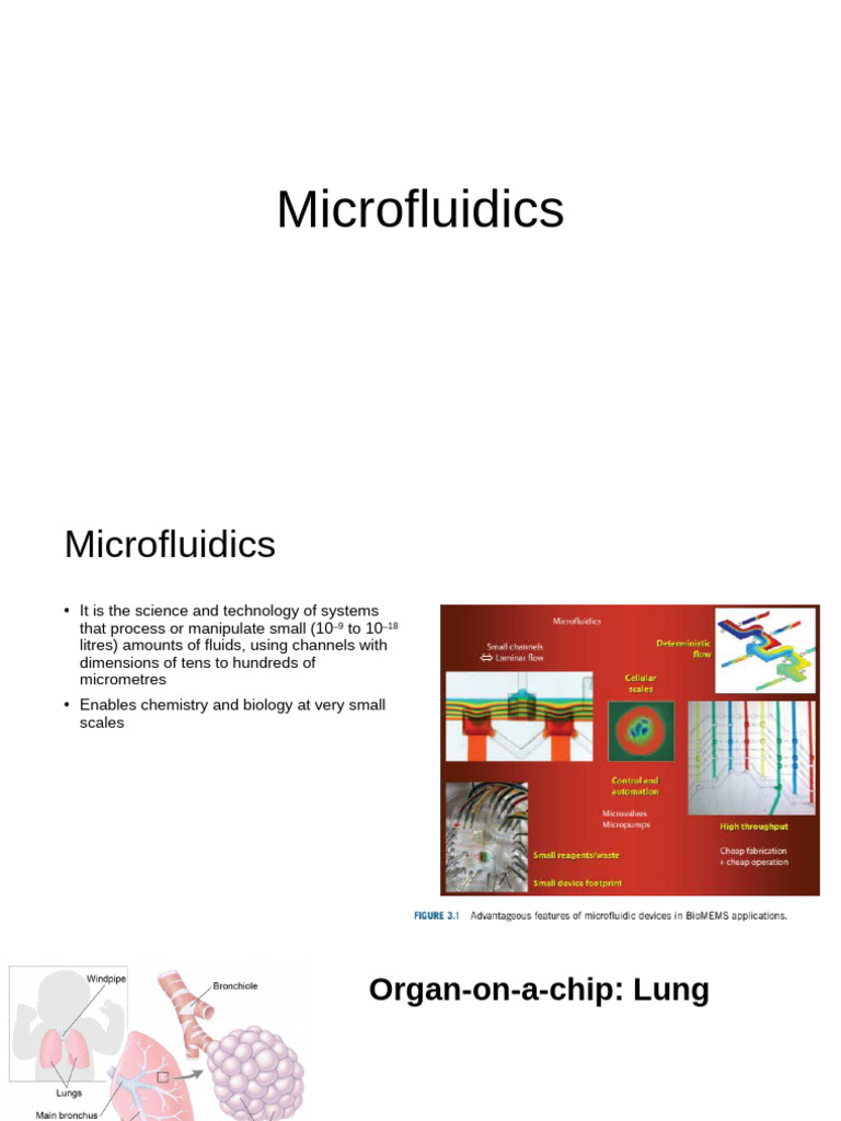 2025.09.29 Microfluidics | PDF | Reynolds Number | Fluid Dynamics