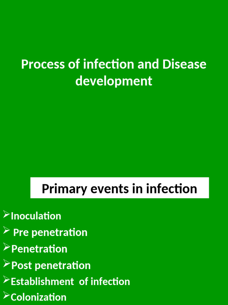Infection Process and Disease Development | PDF | Fungus | Pathogen