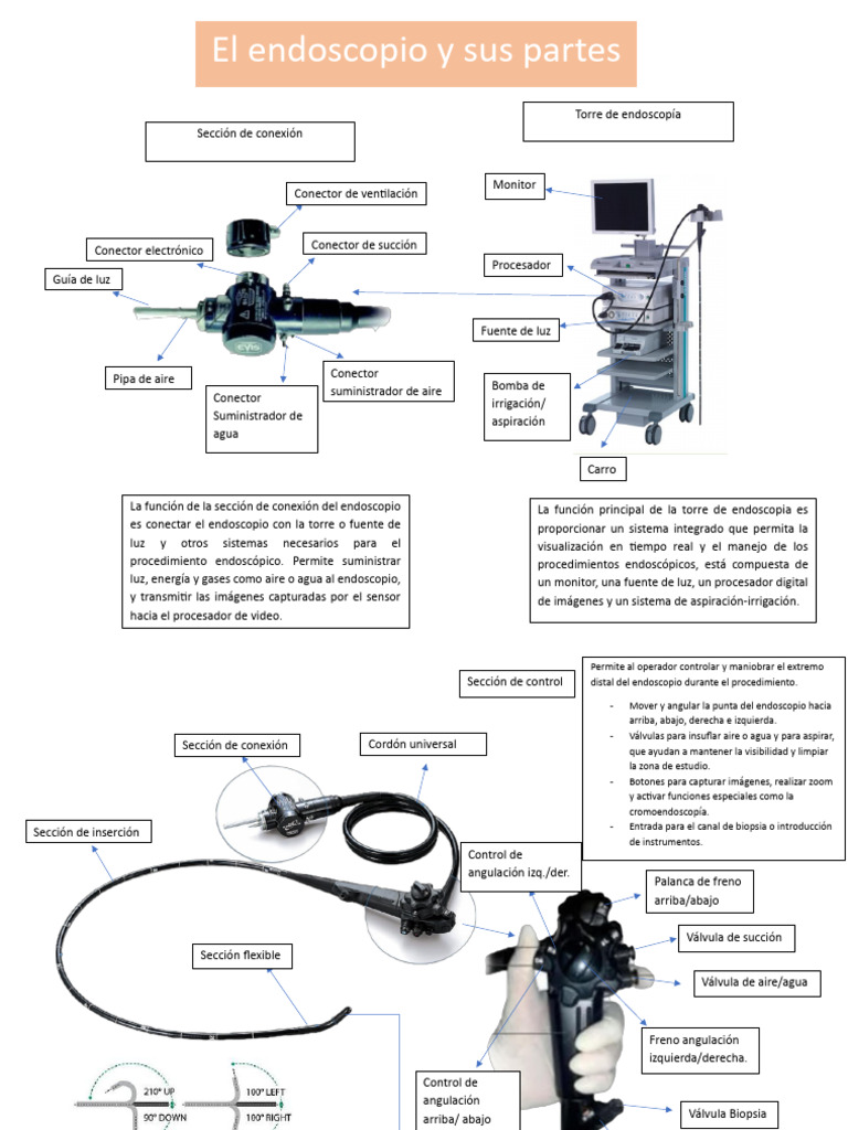 Partes de la Torre de Endoscopia | PDF | Endoscopia