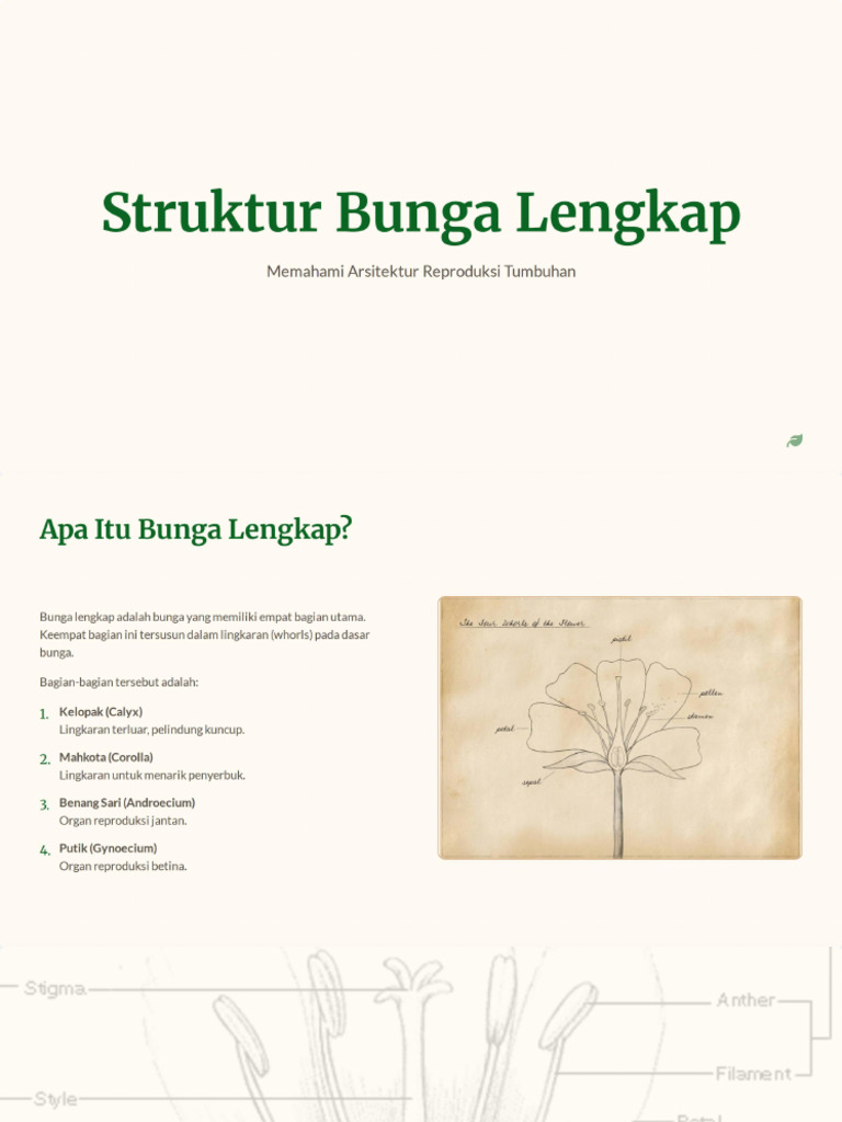 Struktur Bunga Lengkap | PDF