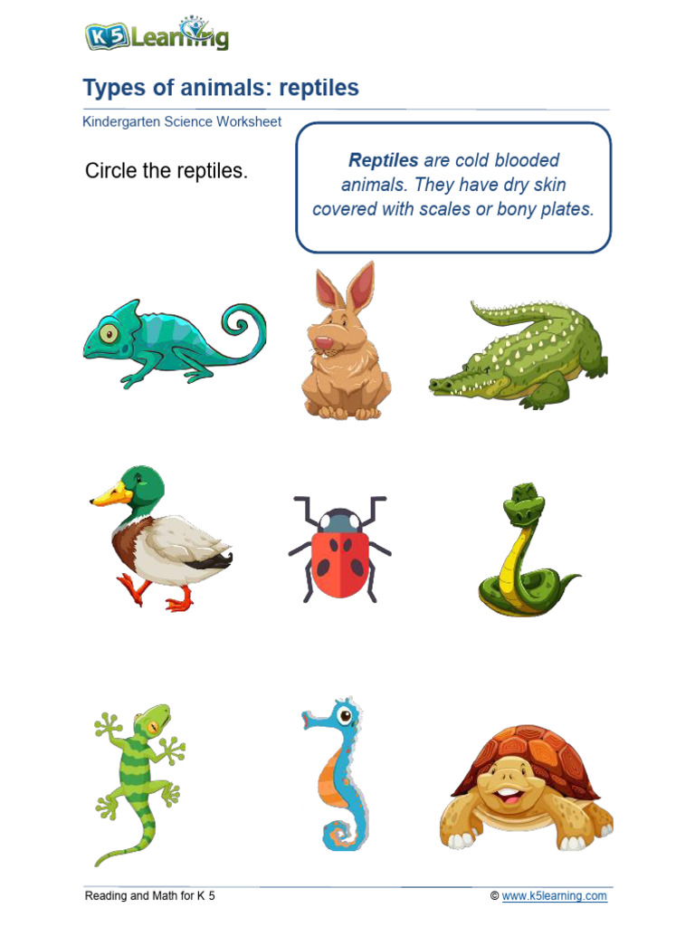 Animal Classification D | PDF