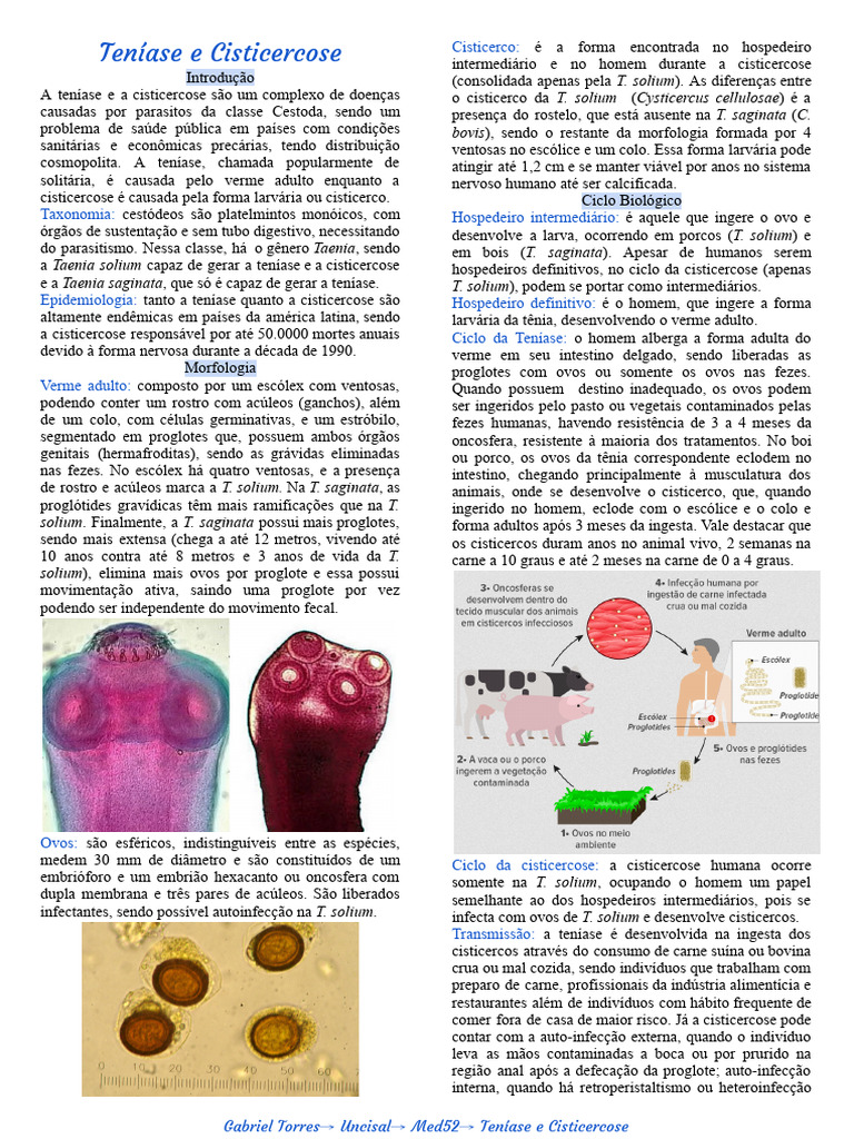 Cisticercose: Aspectos e Tratamento | PDF | Doenças e distúrbios ...