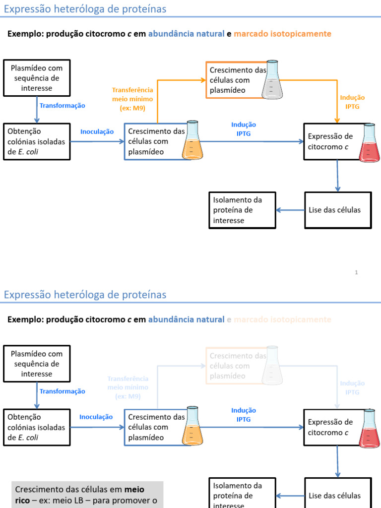 2 - Ba - RMN - 23 - 24 | PDF | Espectroscopia de ressonância magnética ...