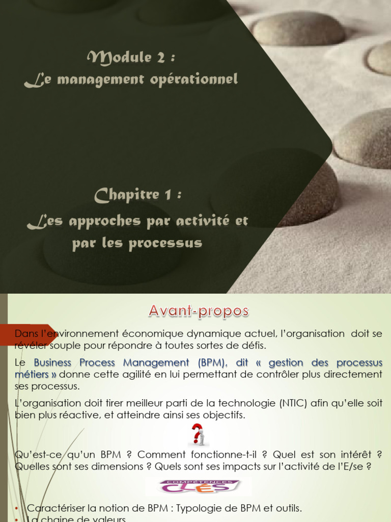 Management opérationnel et BPM en entreprise | PDF | Commercialisation ...