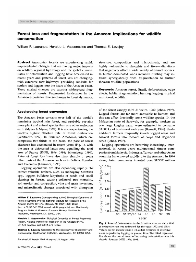 Amazon Forest Loss and Wildlife Impact | PDF | Amazon Rainforest ...