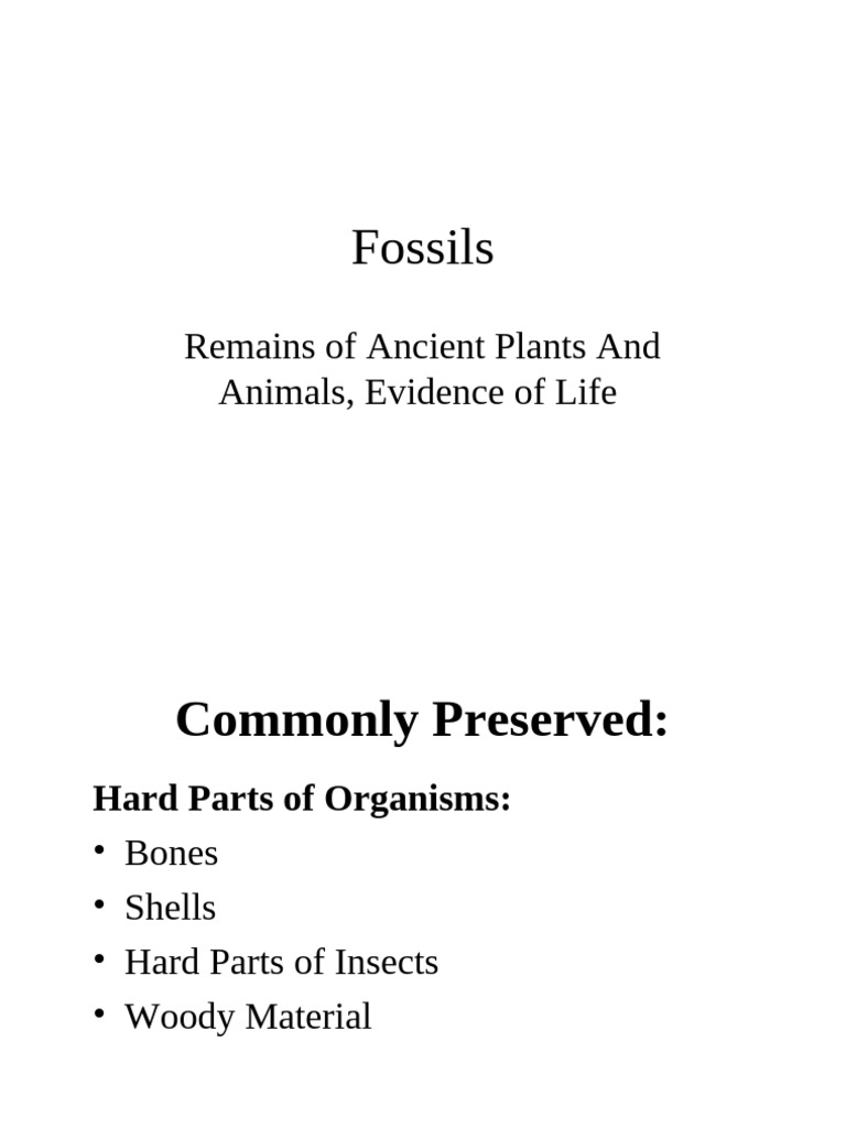 Understanding Fossils and Their Types | PDF