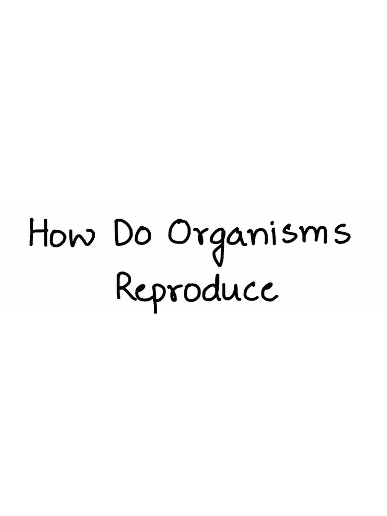 Biology Aid How Do Organisms Reproduce Notes 2 | PDF