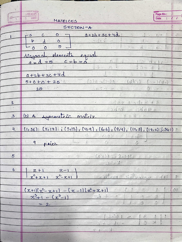 Henam Patel (Matrices) | PDF