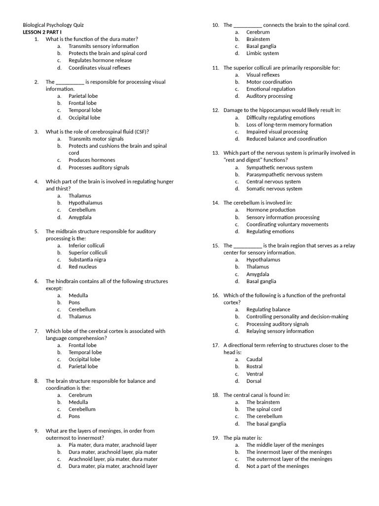 Biological Psychology Quiz | PDF | Central Nervous System | Autonomic ...