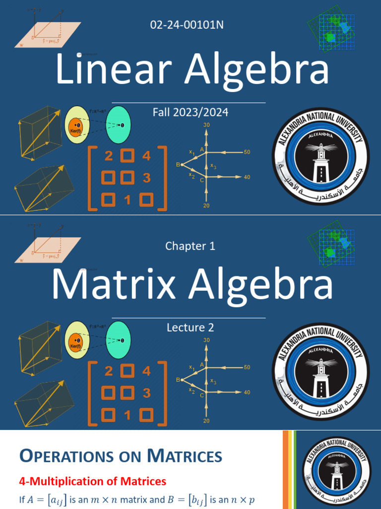 Lec. 02- Matrix Algebra | PDF | Matrix (Mathematics) | Mathematical Physics