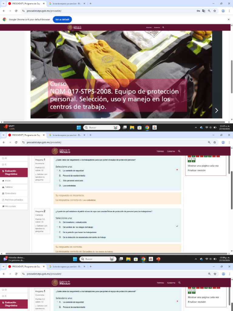 Norma 017 STPS | PDF