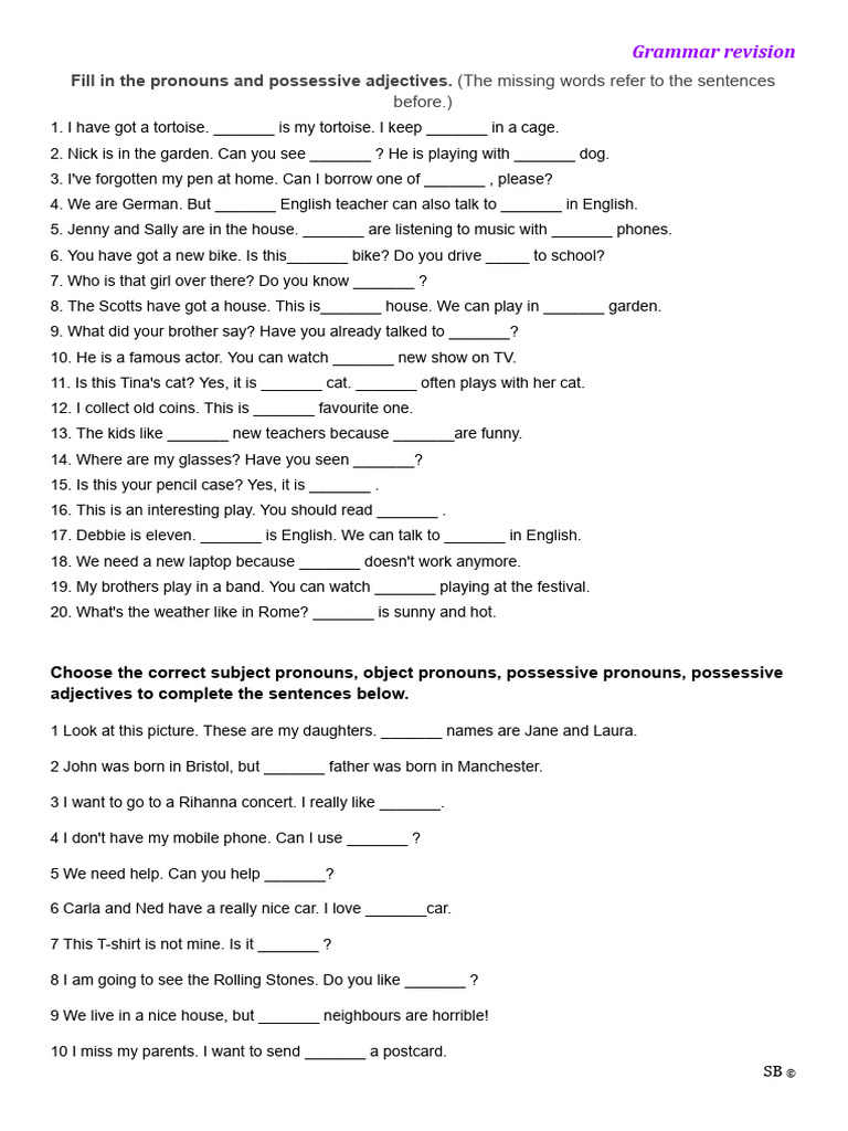 Pronoun and Possessive Adjective Exercises | PDF