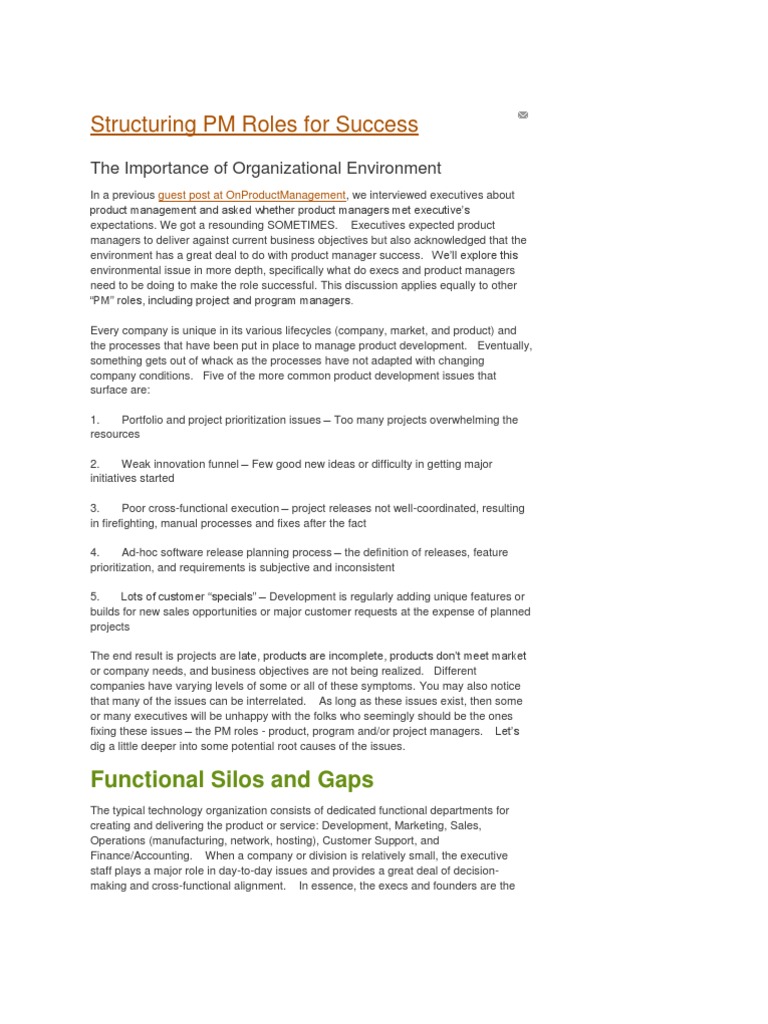 Structuring PM Roles For Success | PDF | Consultant | Leadership