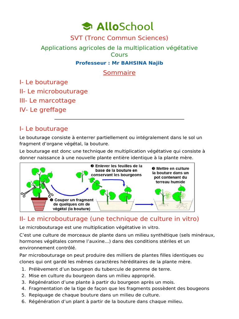 Techniques de Multiplication Végétative | PDF | Greffe (botanique ...